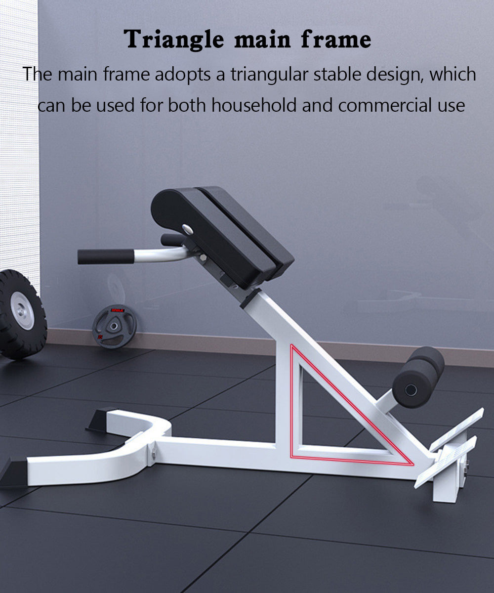 Adjustable Roman Chair Back Extension Exercise Bench Back Training Sup ...